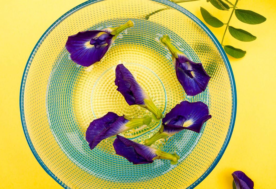 Butterfly Pea: The Color-Changing Tropical Tisane Tea - Tropical House ...