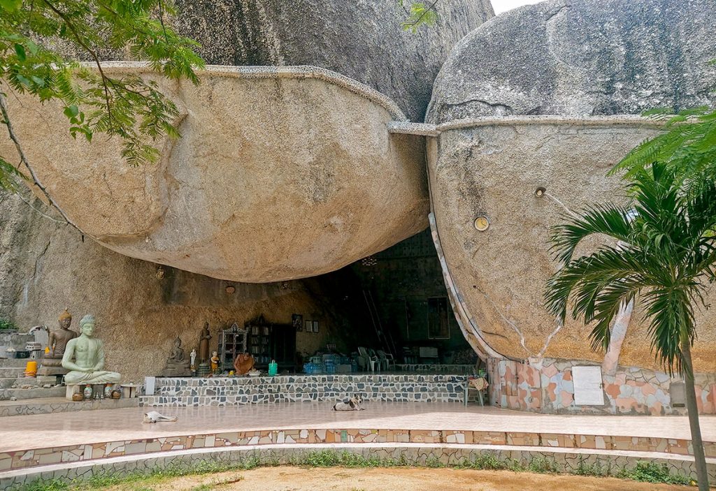 Why a Thai Monk is Living a Hermit Life in Nature - Tropical House & Garden