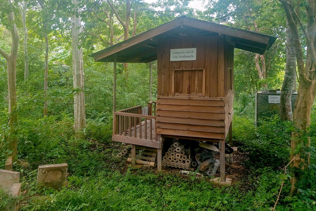 Why a Thai Monk is Living a Hermit Life in Nature - Tropical House & Garden