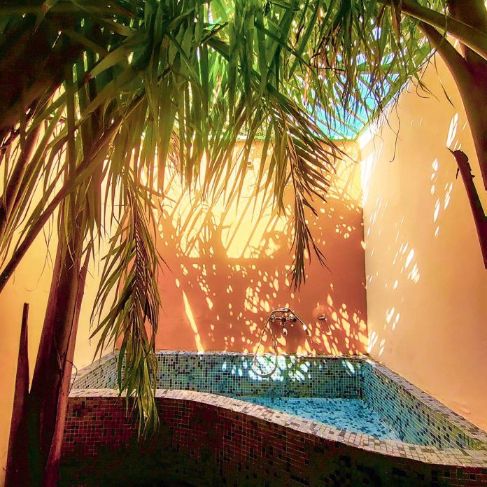 Open Showers Are a Way to Connect with Nature - Tropical House & Garden